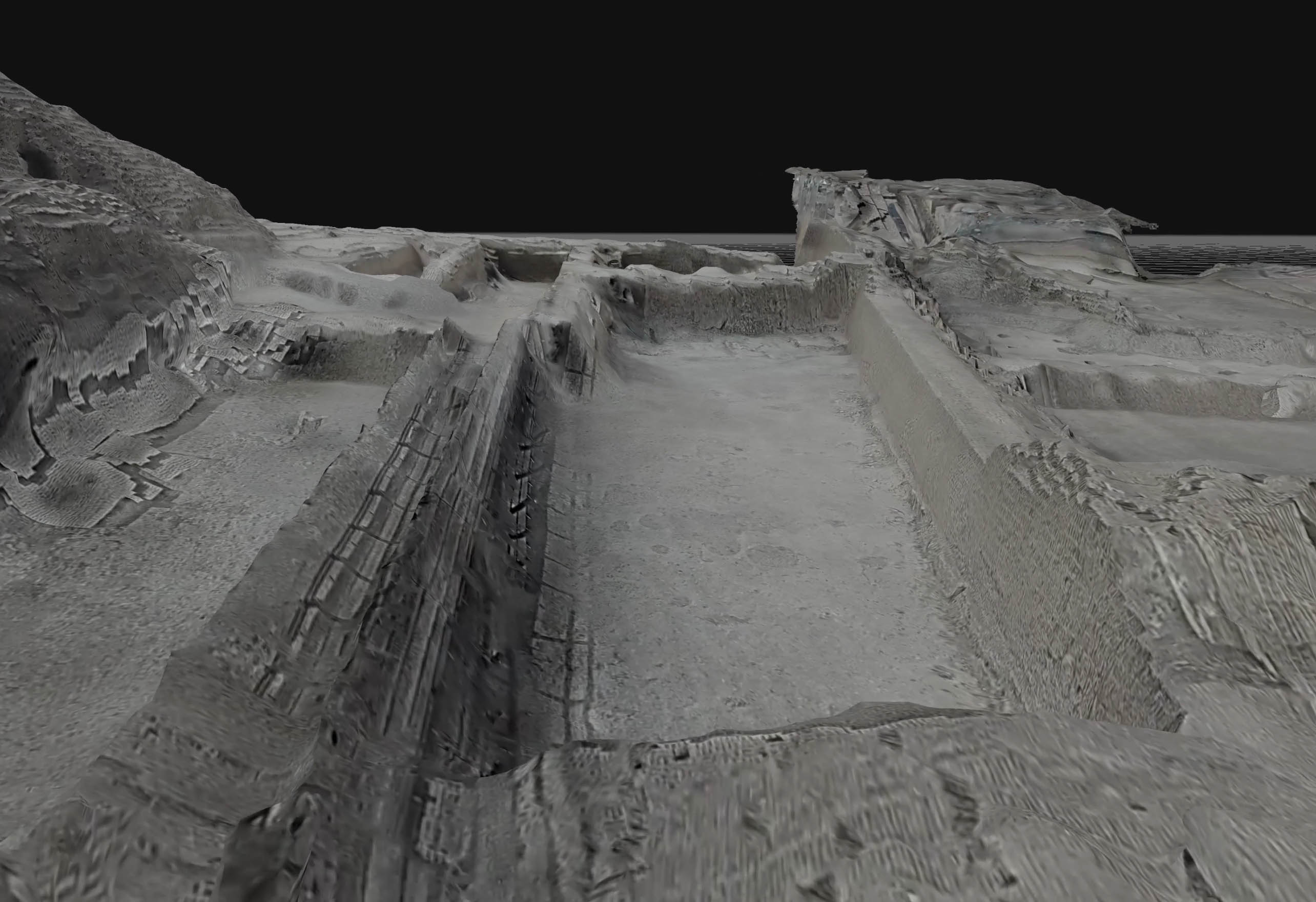 Paola Torres Núñez del Prado